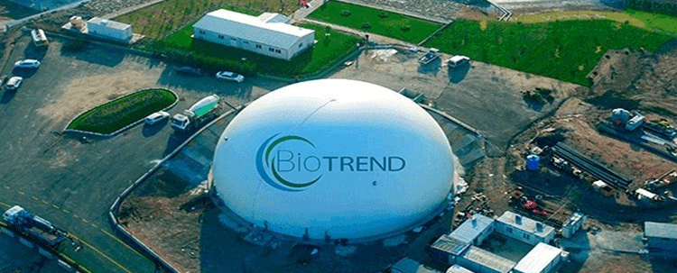 Biotrend Enerji’nin ilk yarı rakamları belli oldu